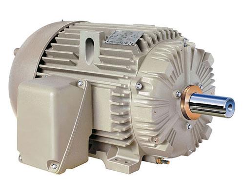 GE M520 Severe Duty Motor | Duke Electric