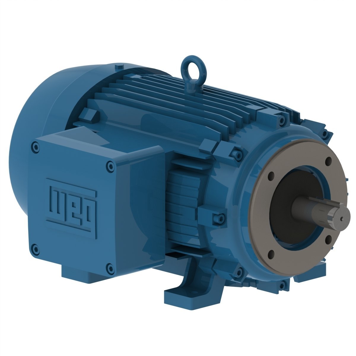 WEG HX350504NP449T Explosion Proof Motor | Duke Electric