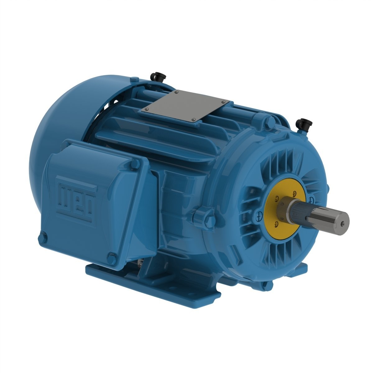 WEG IE040404W22CIS Severe Duty Motor | Duke Electric